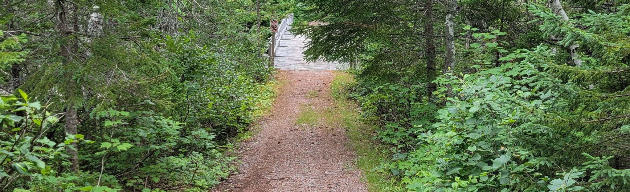 Branch Pond Look Off: 16 Reviews, Map - Nova Scotia, Canada | AllTrails