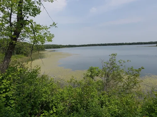 Best Hikes and Trails in William Lake Provincial Park | AllTrails