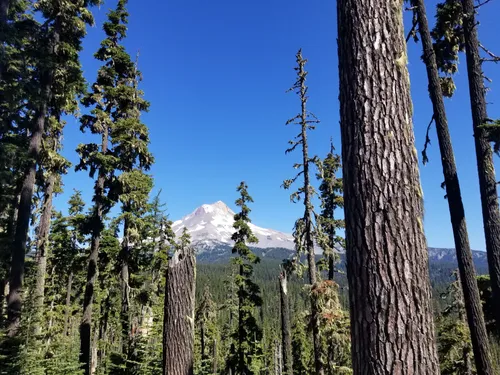 10 Best Off Road Driving Trails in Oregon | AllTrails