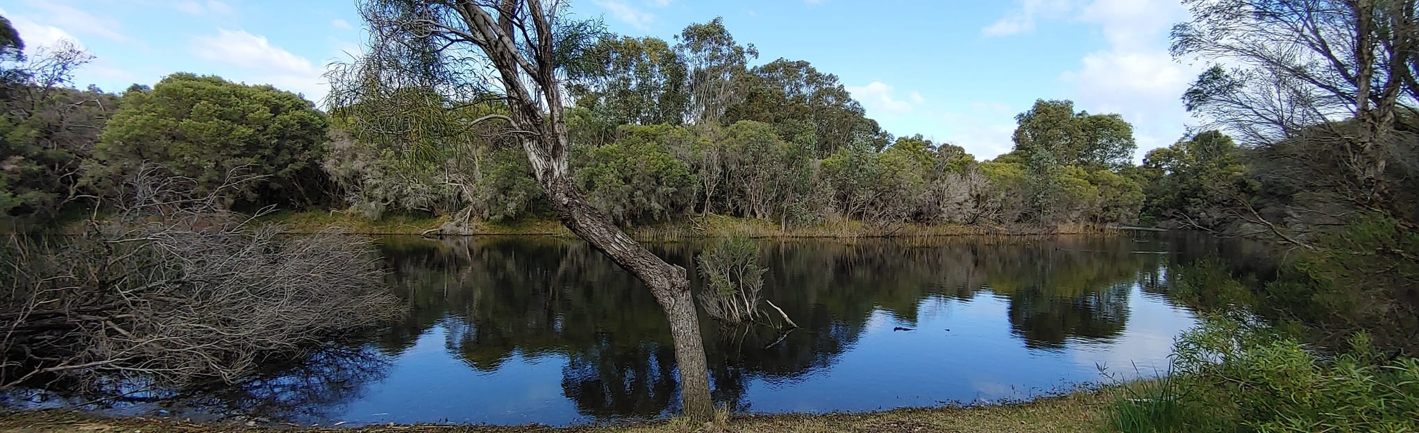 Big Carine Swamp Walk: 95 Reviews, Map - Western Australia, Australia ...