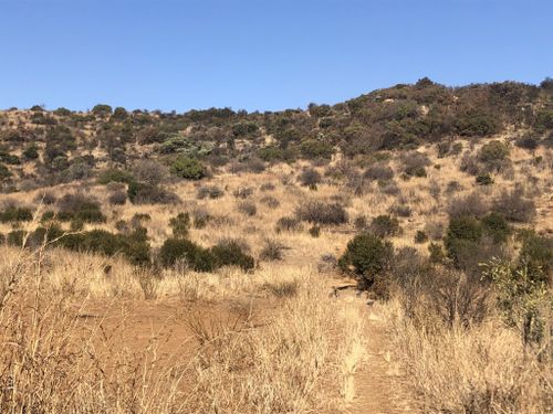 Best Hikes and Trails in Groenkloof Nature Reserve | AllTrails