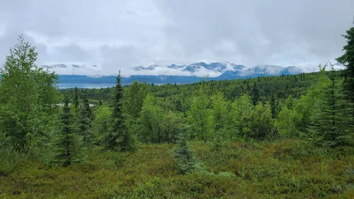 Parque Nacional e Reserva do Lago Clark: melhores trilhas com vida ...