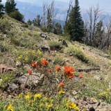 Emigrant Peak Trail, Montana - 110 Reviews, Map | AllTrails