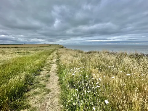 Best Hikes and Trails in Reculver Country Park | AllTrails
