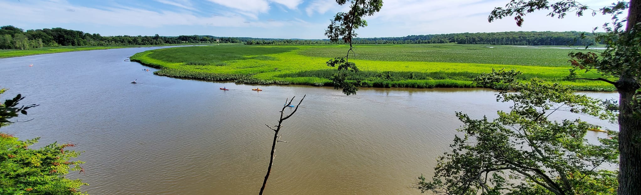 Jug Bay Purple, Blue and Green Loop , Maryland - 201 Reviews, Map ...