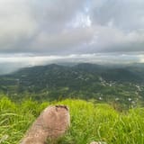 Pico Rodadero Trail: 137 fotos - South Region, Puerto Rico | AllTrails