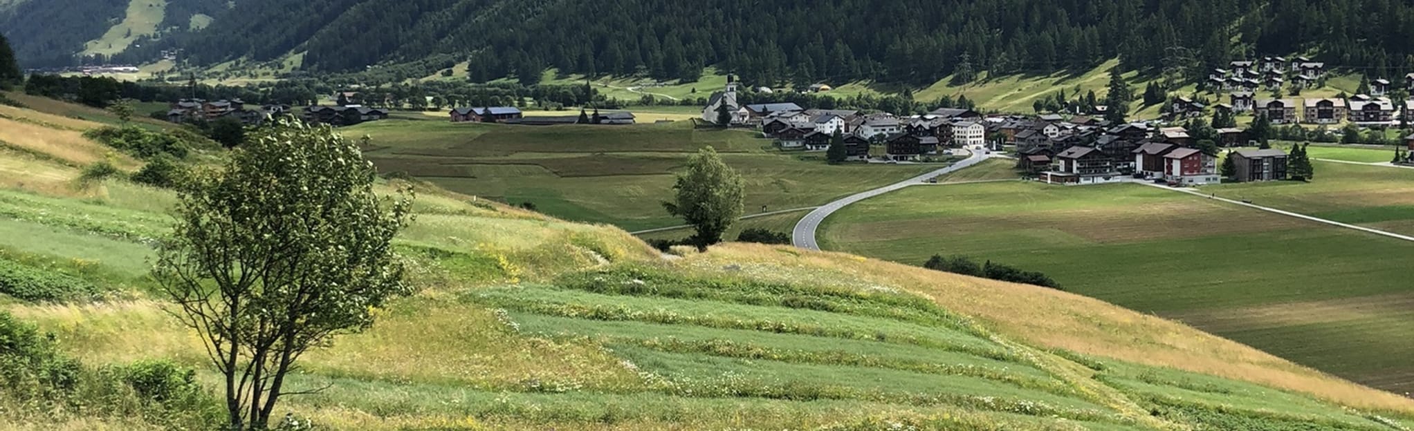 Ulrichen - Obergesteln, Valais, Switzerland - Map, Guide | AllTrails