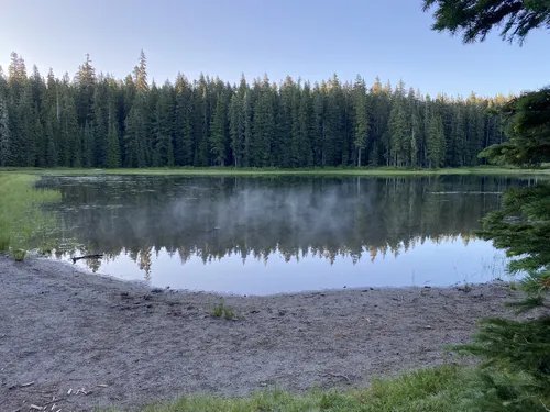 Best Moderate Trails in Indian Heaven Wilderness | AllTrails