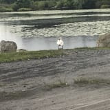 Quequechan River Rail Trail, Massachusetts - 177 Reviews, Map | AllTrails