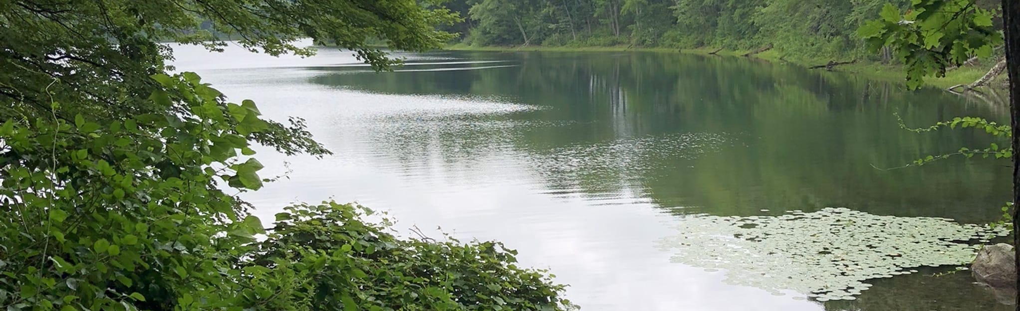 Mirror Lake Loop - Massachusetts | AllTrails