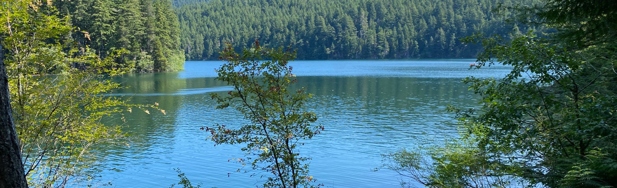 False Summit, Lookout Tower, and Mountain Lake Loop | Map, Guide ...