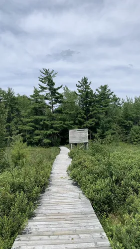 10 Best Trails and Hikes in Kejimkujik National Park | AllTrails