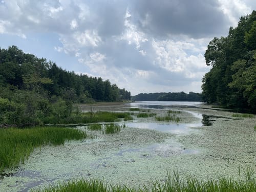 Best Hikes and Trails in Stone Valley Recreation Area | AllTrails