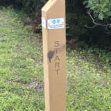 Gary Shell Cross City Trail, North Carolina - 215 Reviews, Map | AllTrails