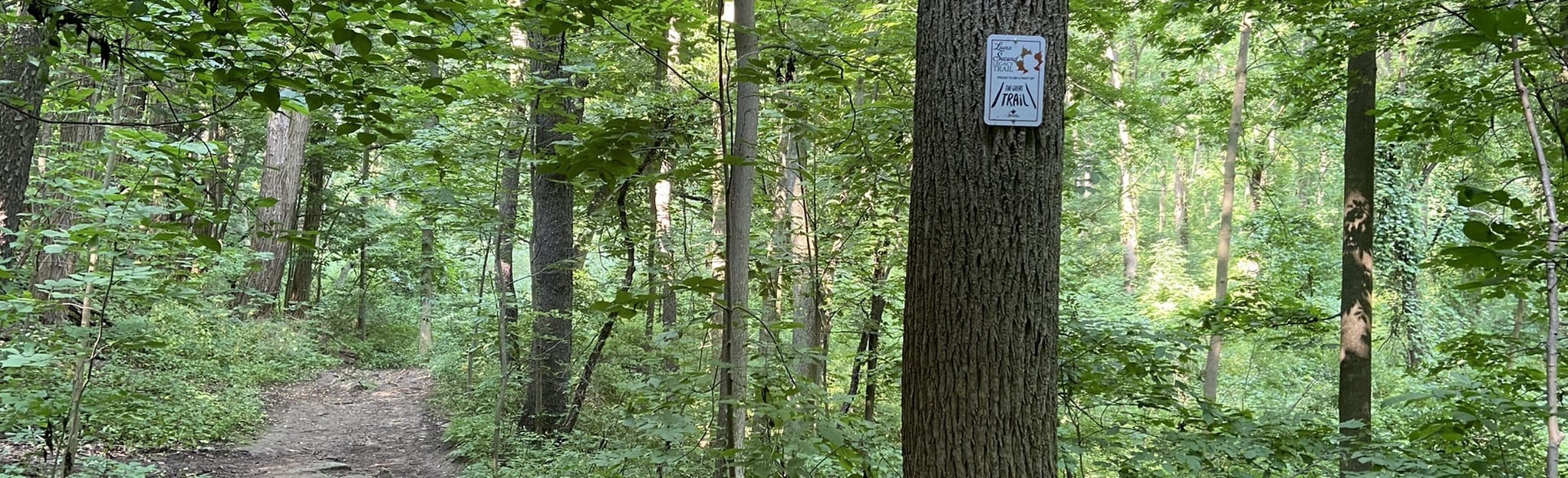 Fireman’s Park Loop: 71 foto - Ontario, Canada | AllTrails