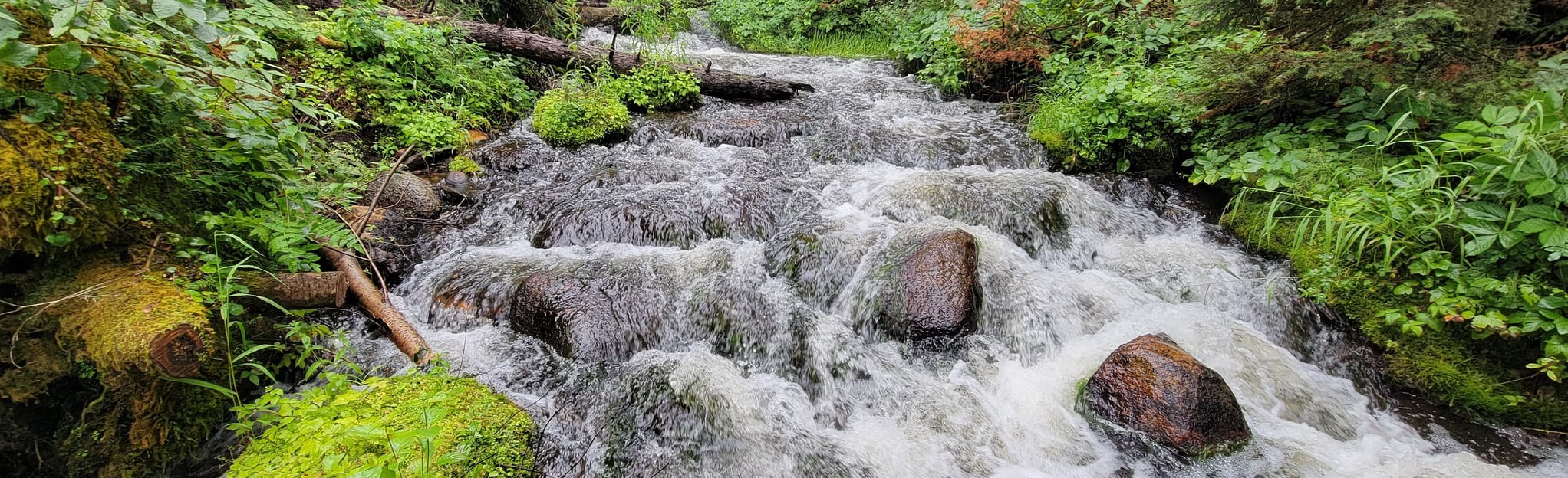 Karst Spring Trail: 27 Reviews, Map - Manitoba, Canada | AllTrails