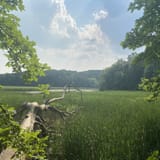 Lucien Morin Park to Irondequoit Bay via Irondequoit Creek, New York ...