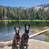 Strawberry Lake OHV Trail, California - 31 Reviews, Map | AllTrails