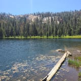 Strawberry Lake OHV Trail, California - 31 Reviews, Map | AllTrails