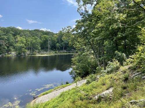 Best Hikes and Trails in Norvin Green State Forest | AllTrails
