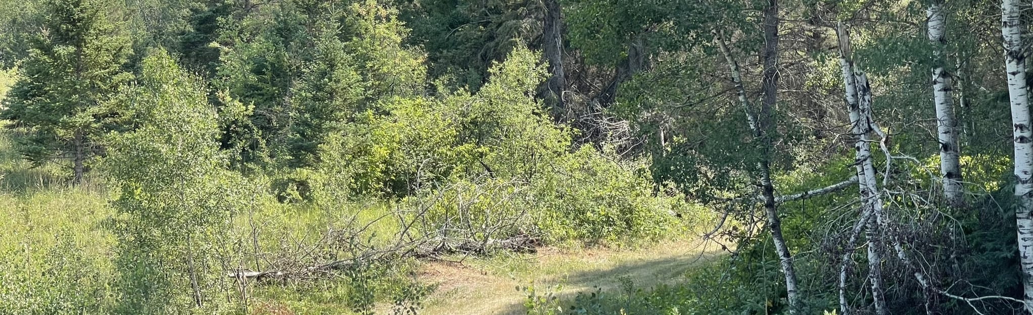 Ojibwa Trail, Manitoba, Canada - 18 Reviews, Map | AllTrails