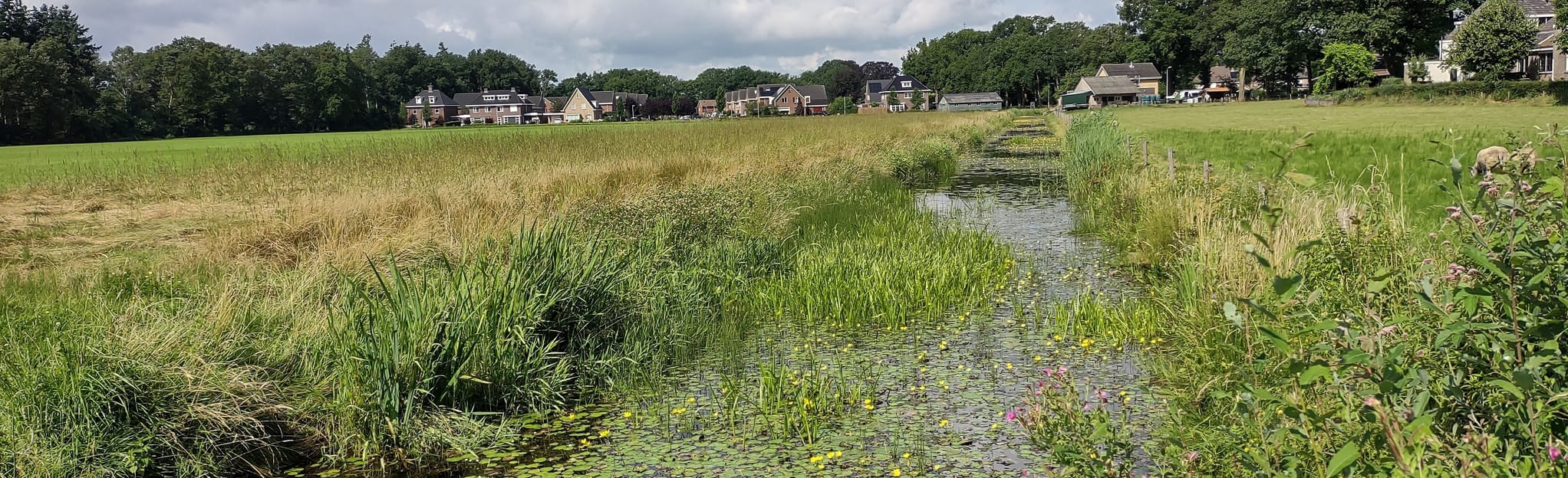 Lettele Oranje Wandelroute, Overijssel, Netherlands - 7 Reviews, Map ...