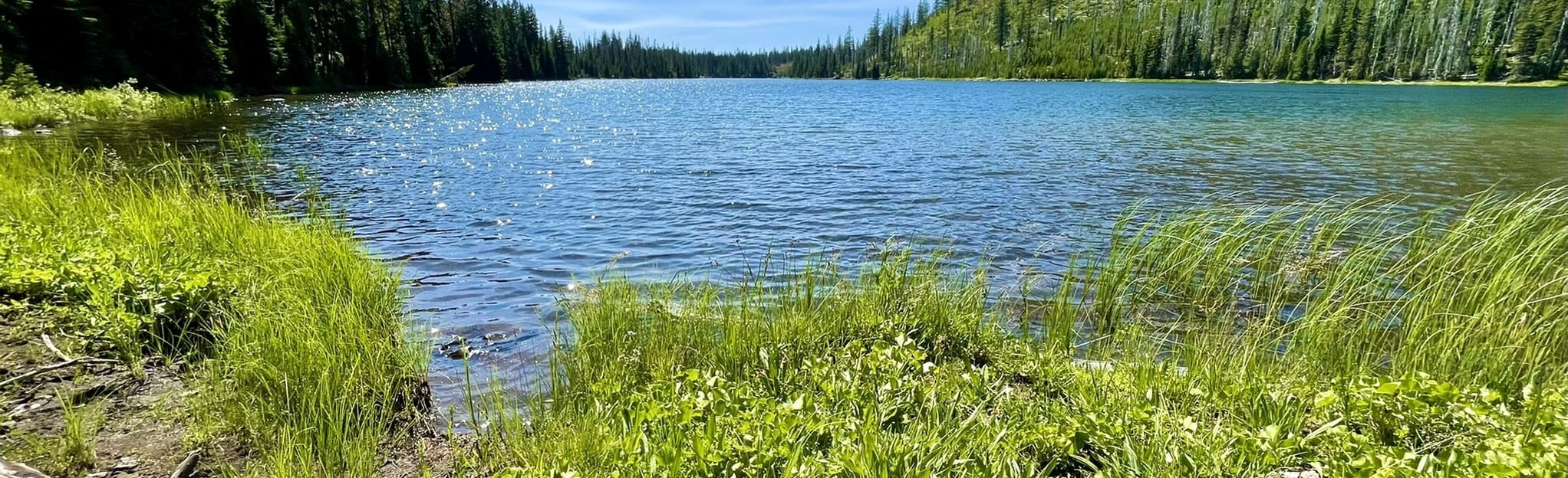 Duffy Lake Trail to Red Butte Peak, Oregon - 154 Reviews, Map | AllTrails