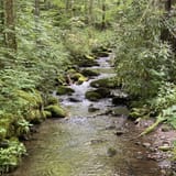 Little Cataloochee Trail, North Carolina - 160 Reviews, Map | AllTrails