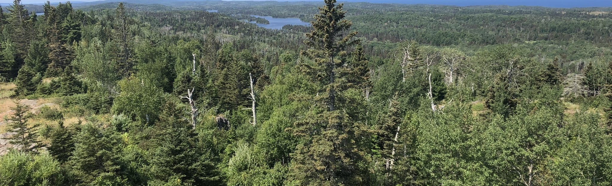 Lane Cove to Daisy Farm via Greenstone Ridge Trail: 28 Reviews, Map ...