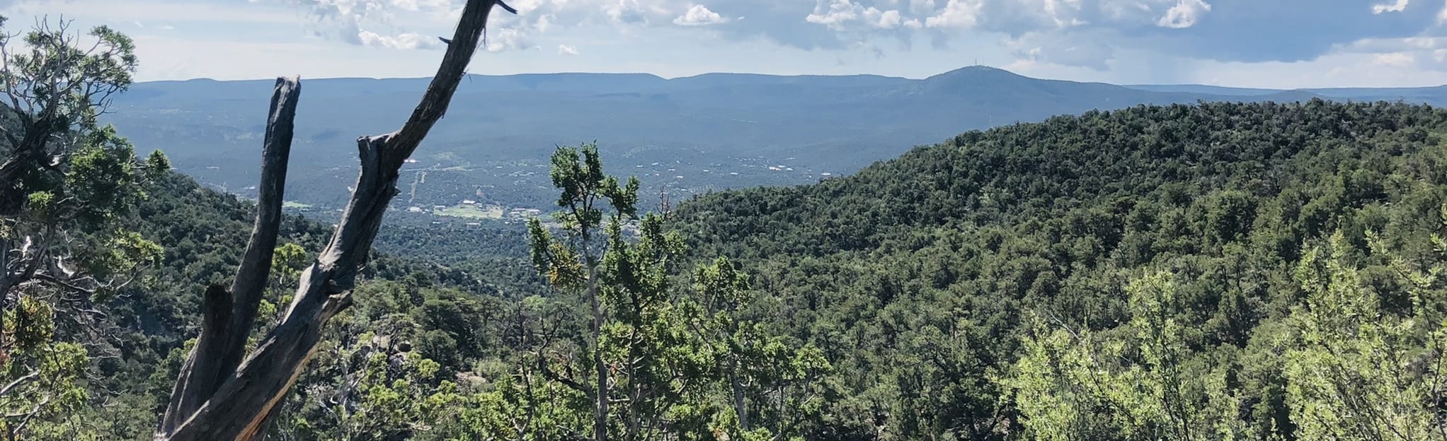 Faulty Loop via South Crest Trail: 705 Reviews, Map - New Mexico ...