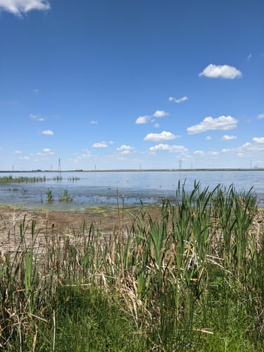 Best Hikes and Trails in Frank Lake Conservation Area | AllTrails