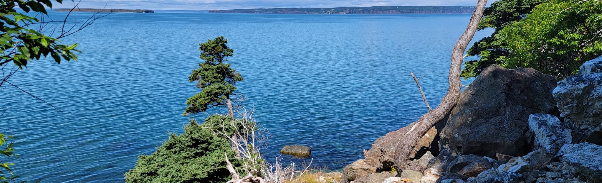 Shag Rock via Topsail Beach: 93 Reviews, Map - Newfoundland and ...