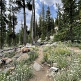 Minaret Falls Trail, California - 192 Reviews, Map | AllTrails