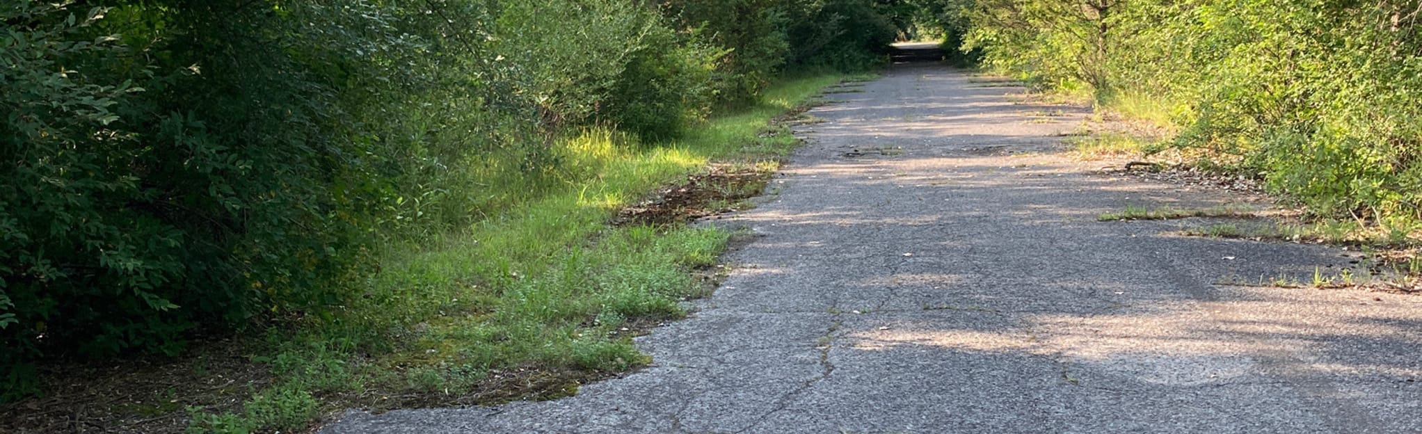 Sampson Memorial Walk: 43 Reviews, Map - New York | AllTrails