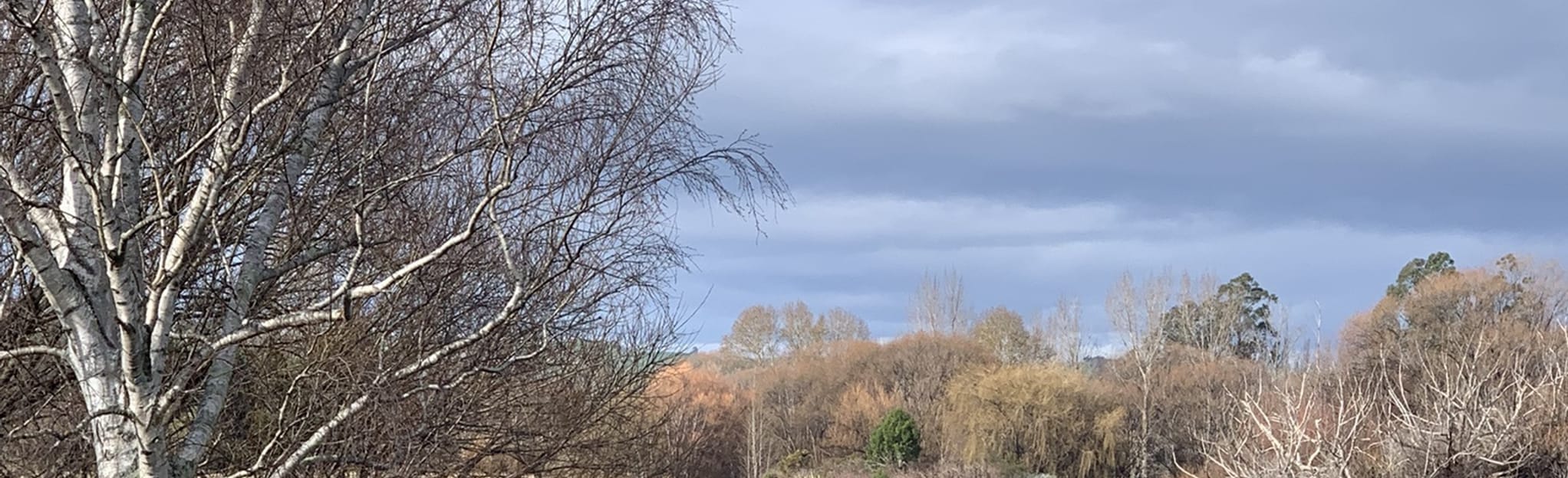 Henley Lake Loop | Mappa, Guida - Wellington, New Zealand | AllTrails