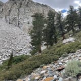 Red Lake Trail, California - 55 Reviews, Map | AllTrails