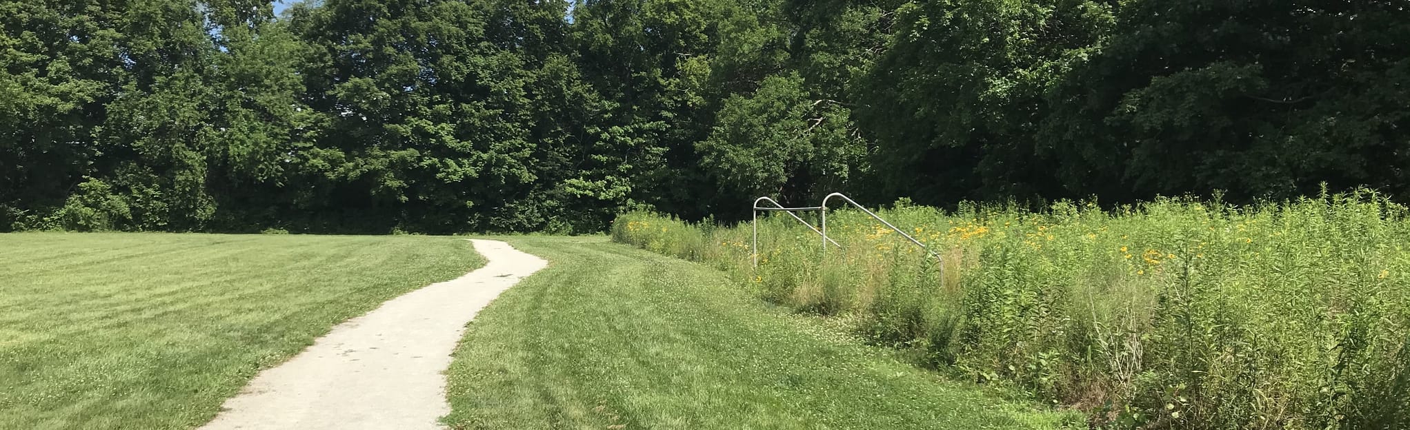 Green Trail, Ohio - 43 Reviews, Map | AllTrails