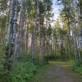 Hasse Lake, Alberta, Canada - 80 Reviews, Map | AllTrails