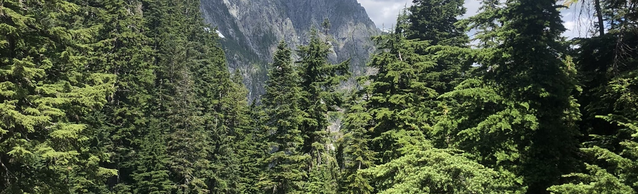 Alouette Mountain via West Canyon trail, British Columbia, Canada - 261 ...