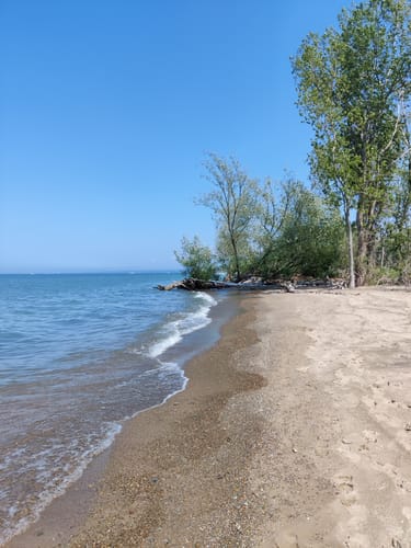 Best Hikes and Trails in Presque Isle State Park | AllTrails