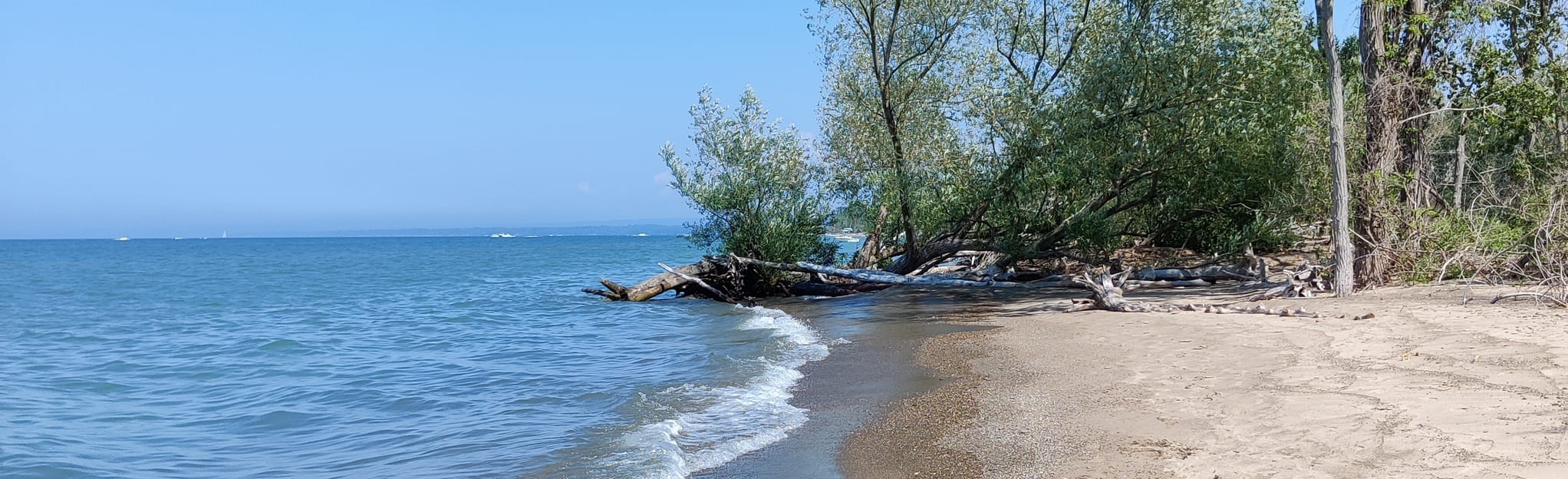 AllTrails | Gull Point Trail: 172 Reviews, Map - Pennsylvania