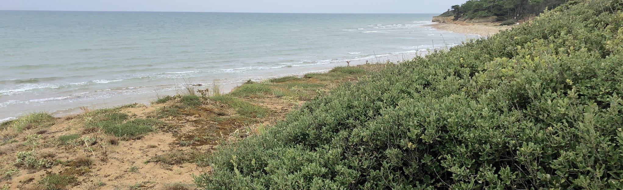 Plage de Légère - Plage de la Mine - Forêt de Longeville: 20 Fotos ...