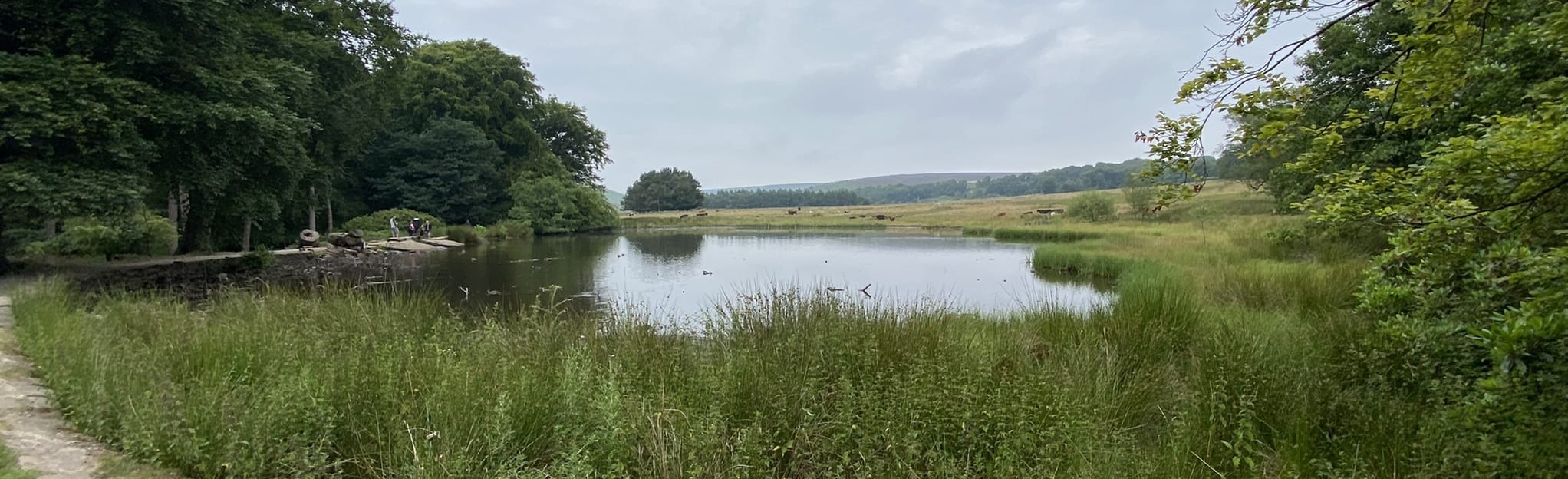 Padley Gorge, Higger Tor, and Burbage Valley, South Yorkshire, England ...