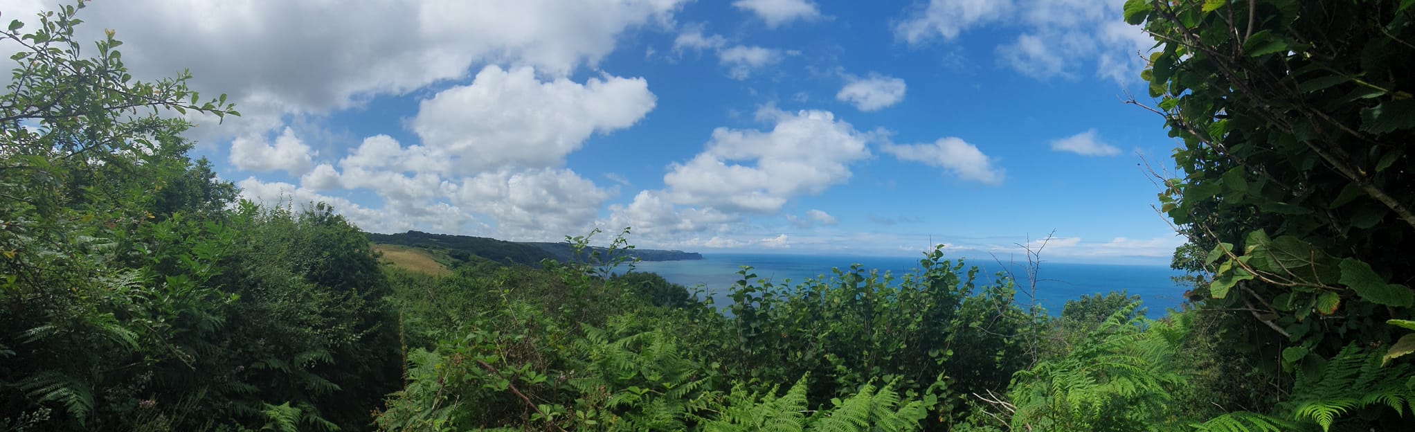 Bucks Mills and Peppercombe Circular: 17 Reviews, Map - Devon, England ...