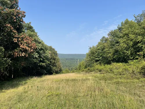 10 Best Hikes and Trails in Michaux State Forest | AllTrails