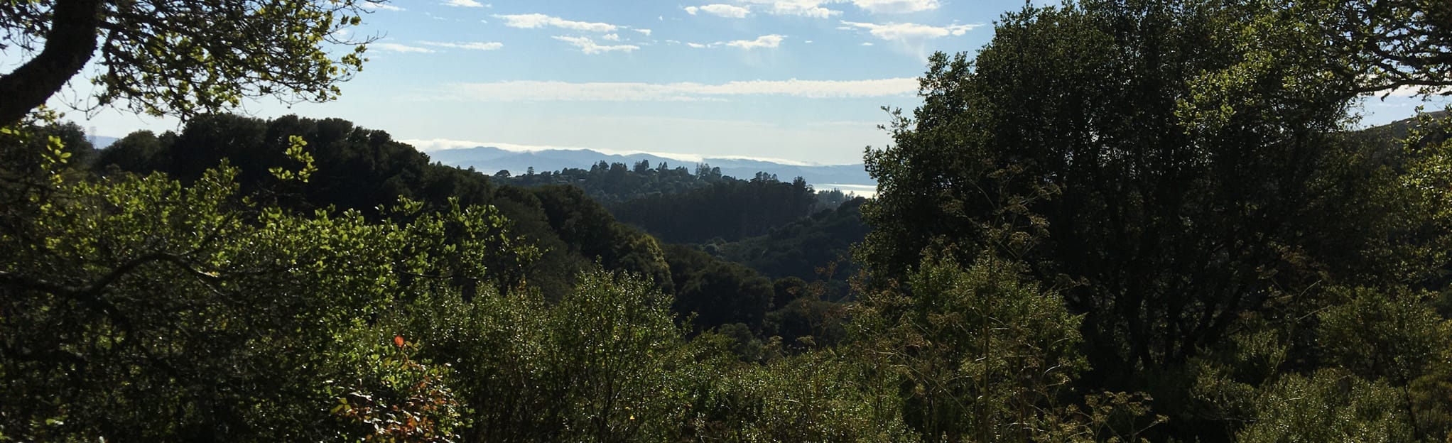 Nimitz Way Easy Route, California - 749 Reviews, Map | AllTrails