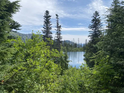 10 Best Trails and Hikes in Packwood | AllTrails