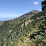 Klahhane Ridge Trail to Lake Angeles, Washington - 272 Reviews, Map ...