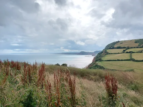10 Best Hikes and Trails in East Devon Area of Outstanding Natural ...