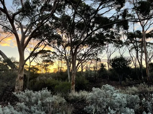 Best Hikes and Trails in Karlkurla Bushland Park | AllTrails